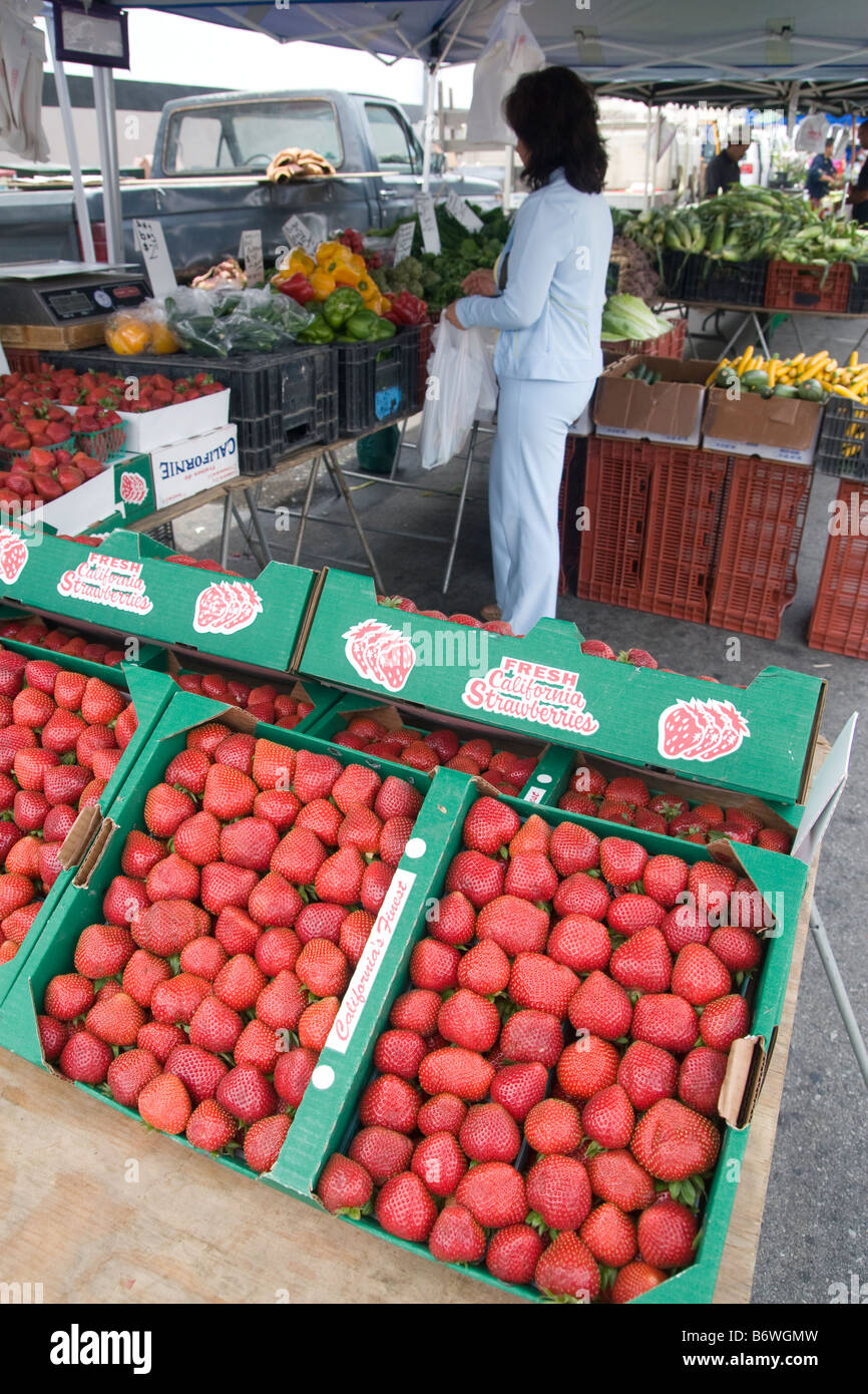 Farmers with strawberries hi-res stock photography and images - Alamy