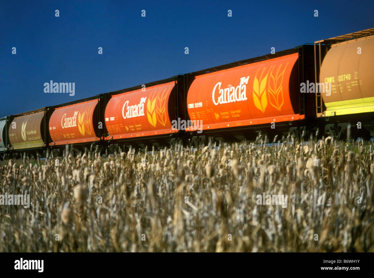 Grain cargo saskatchewan hi-res stock photography and images - Alamy