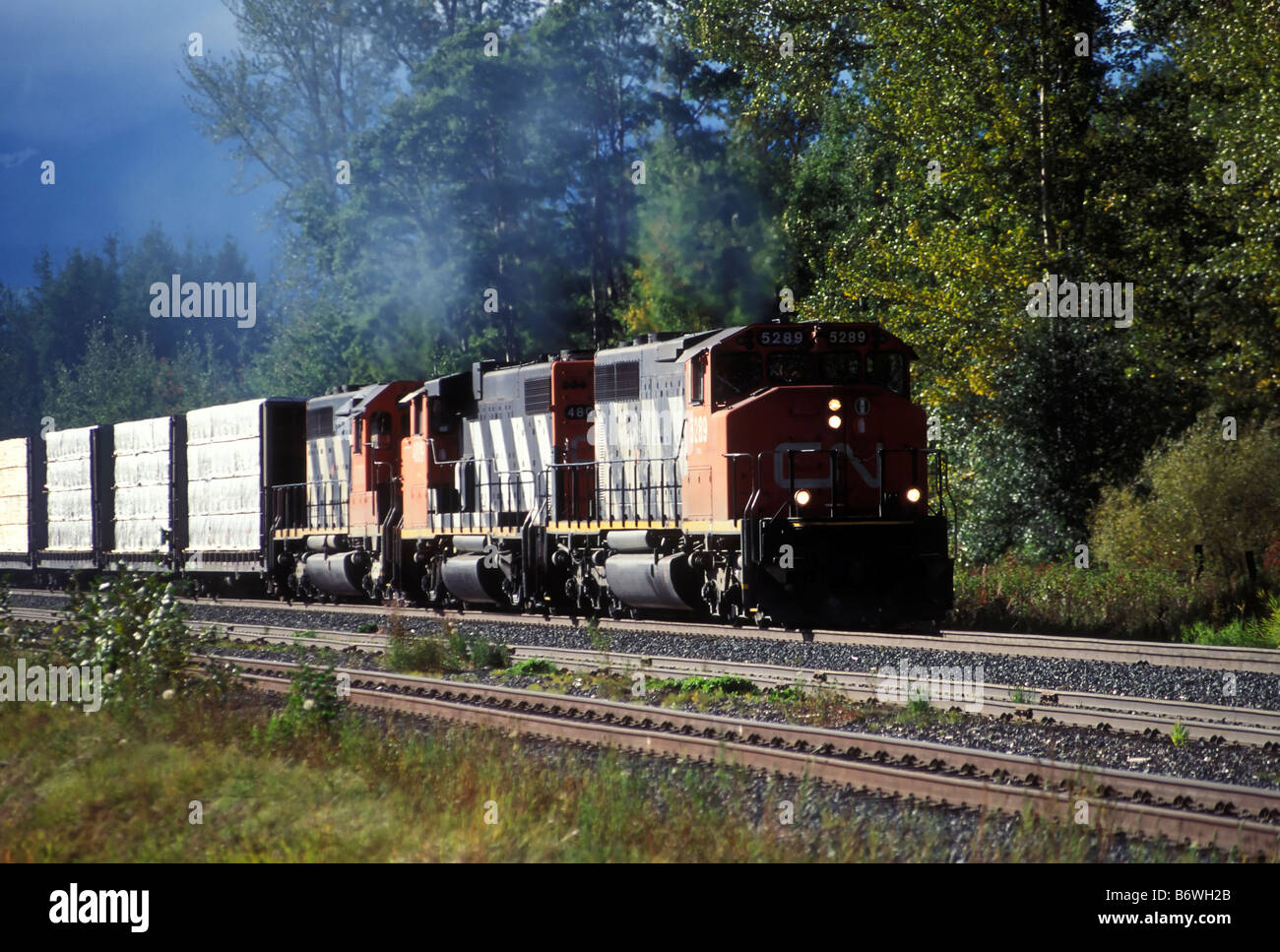Cn rail lumber hi-res stock photography and images - Alamy