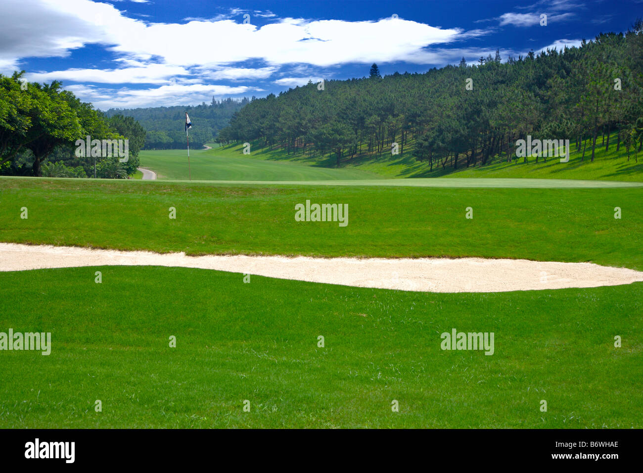 Golf course with green and sand traps Stock Photo - Alamy