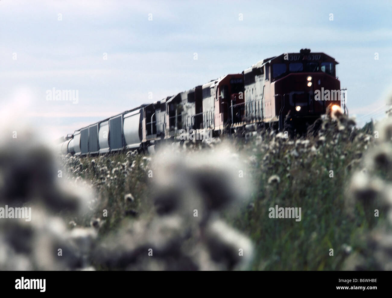 Grain Rail Car Saskatchewan Canada High Resolution Stock Photography ...