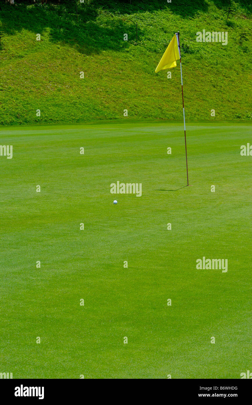 Yellow flag in golf course Stock Photo - Alamy