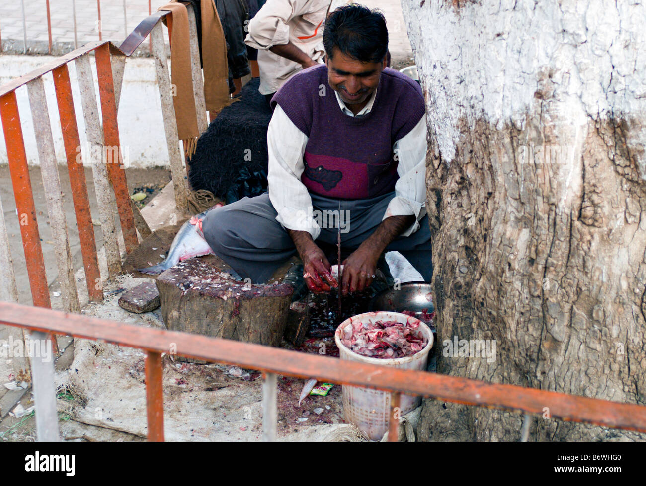 INDIA KHAJURAHO MADHYA PRADESH Fish monger cutting fish into steaks ...