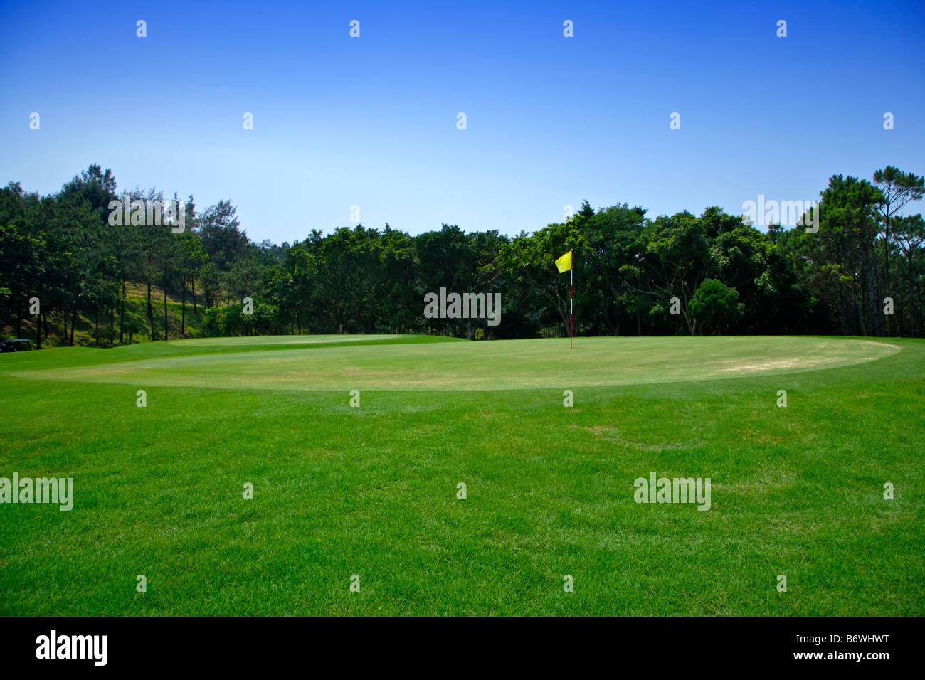 Flag in golf course Stock Photo - Alamy