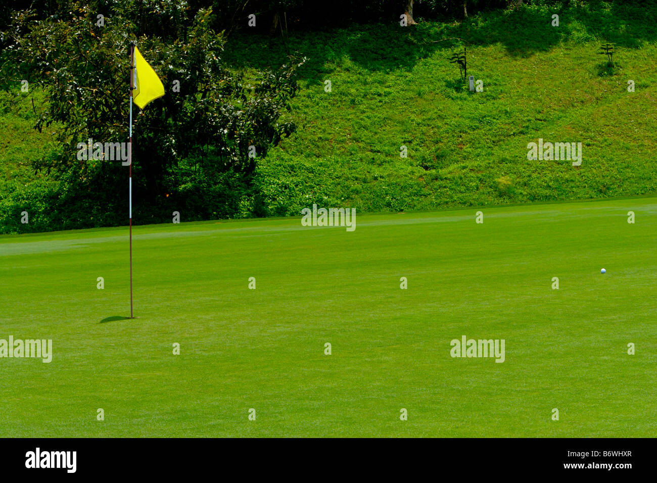 Flag in golf course Stock Photo - Alamy
