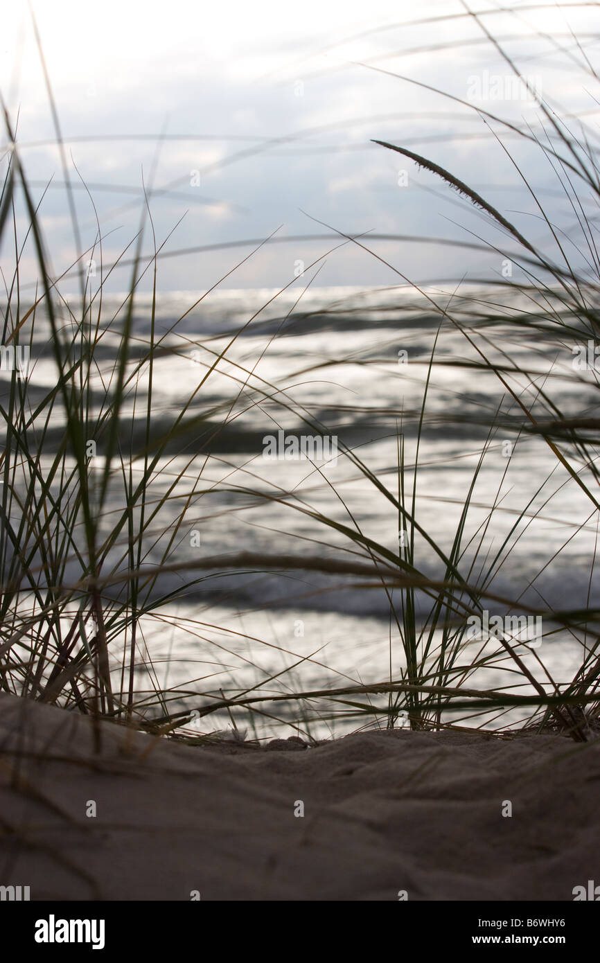 Grass and waves hi-res stock photography and images - Alamy
