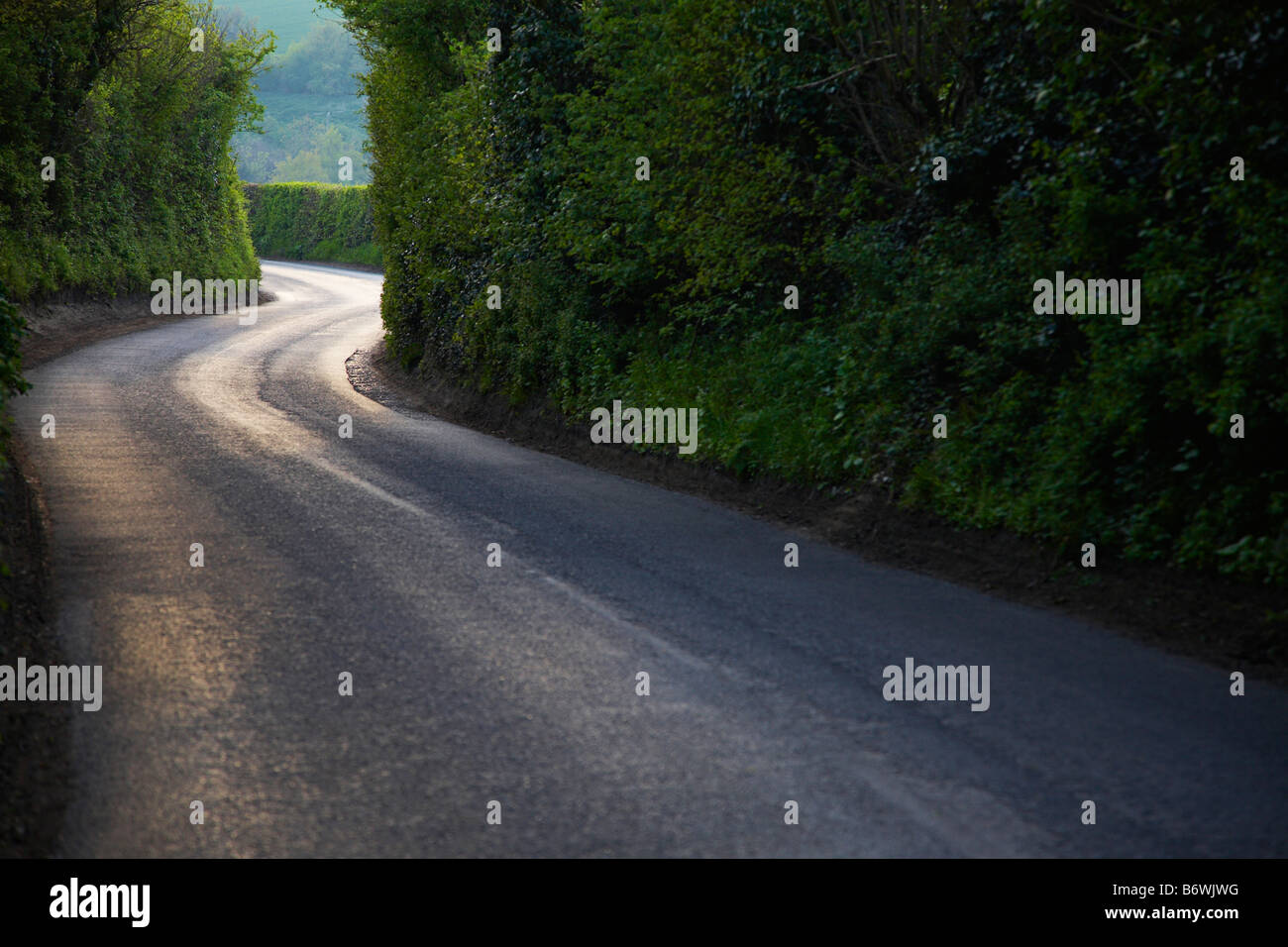 Curving Country Road Through Thick Forest Stock Photo - Alamy