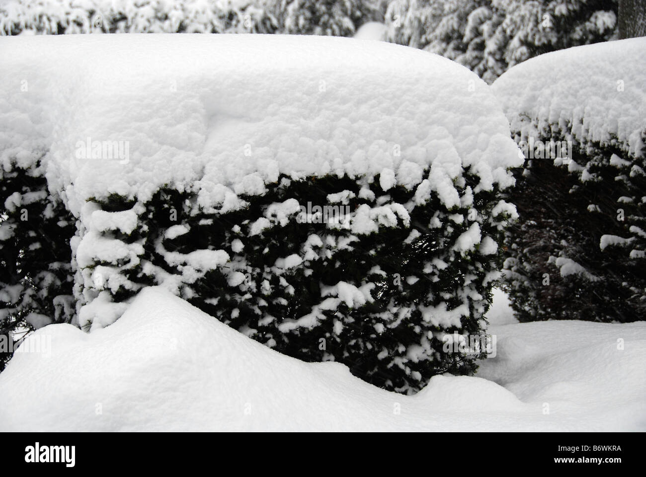 Accumulation snow hi-res stock photography and images - Alamy