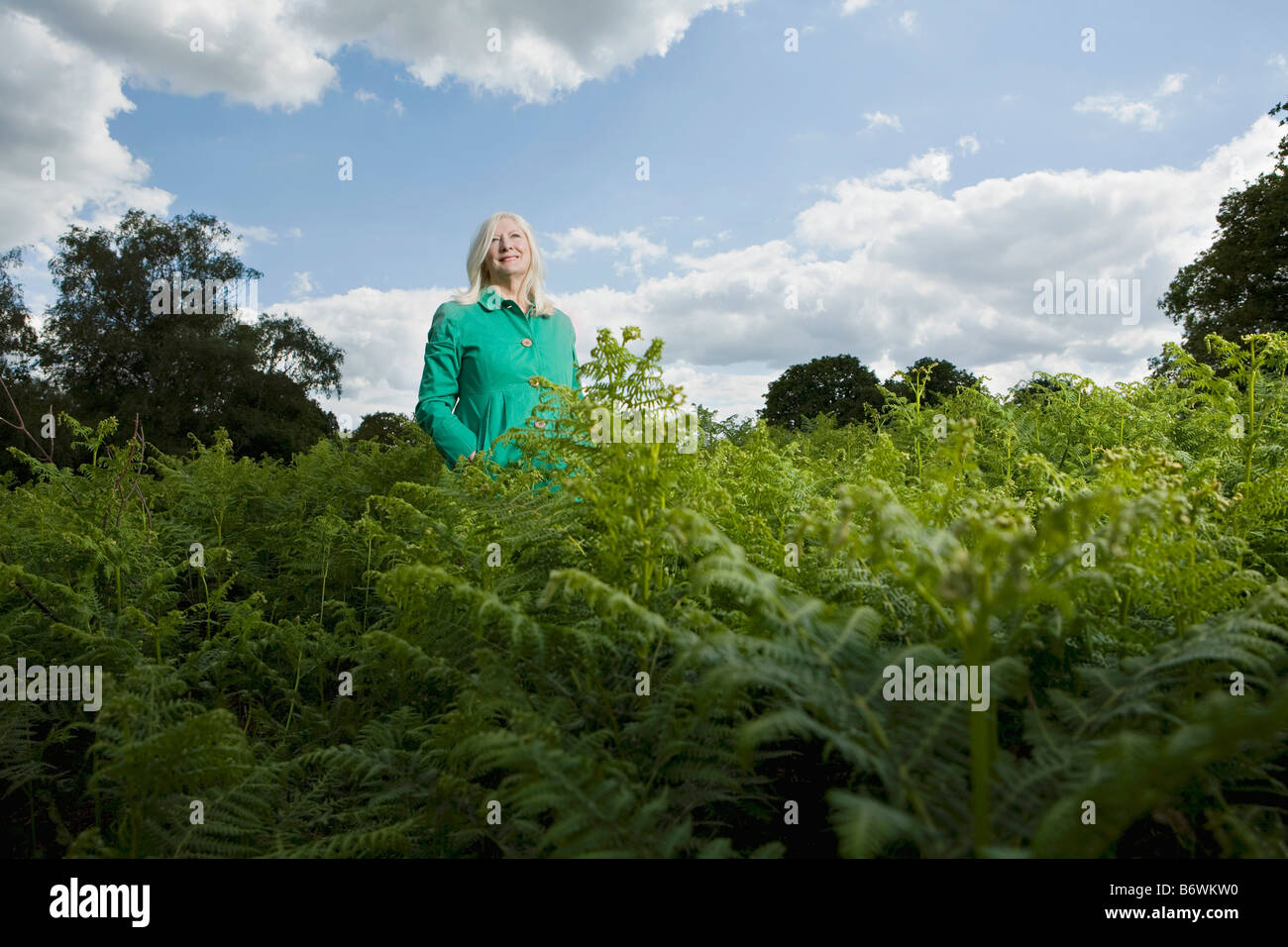 Standing in ferns hi-res stock photography and images - Alamy