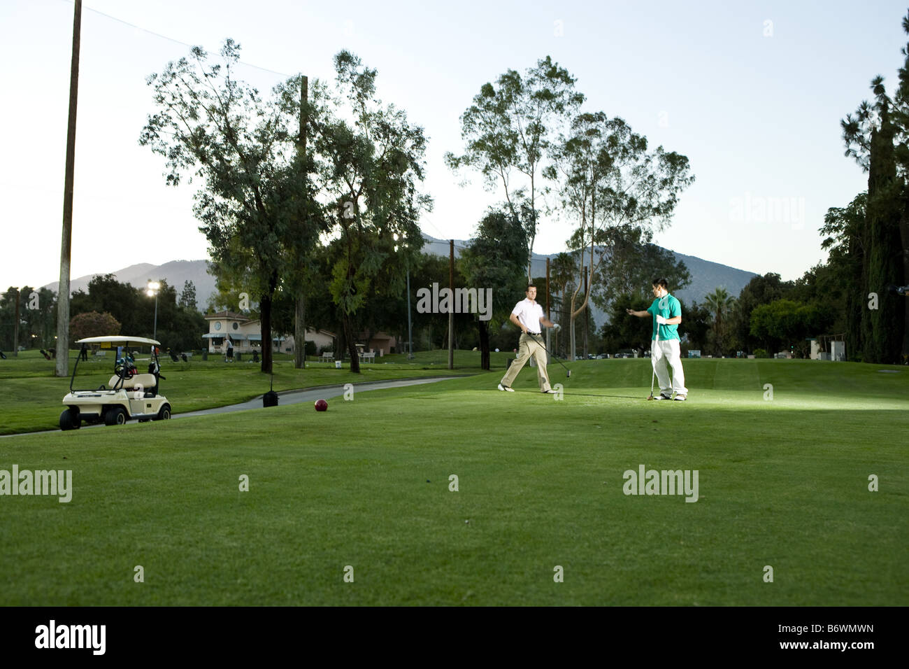 Two men on golf course Stock Photo - Alamy