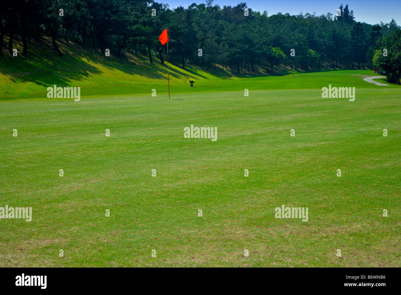 Flag in golf course Stock Photo - Alamy