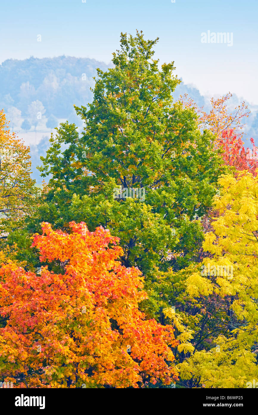 Autumn colours outside hi-res stock photography and images - Alamy