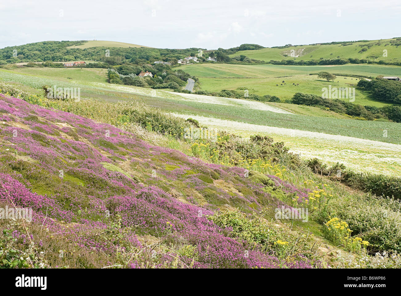 Isle of wight countryside hi-res stock photography and images - Alamy