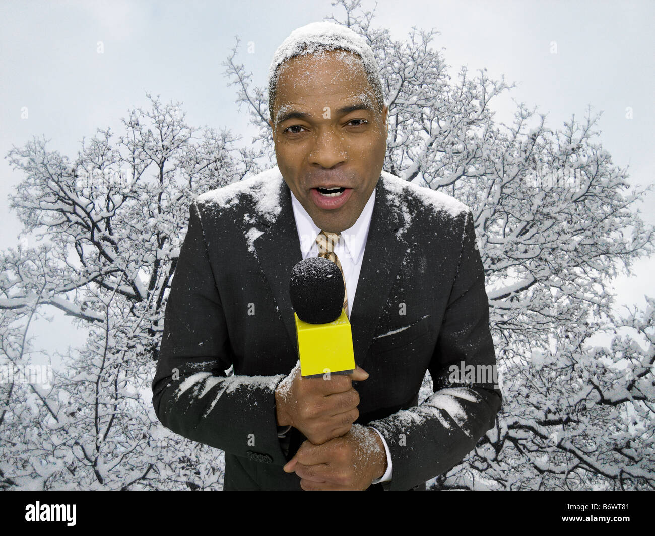 News presenter in snow Stock Photo - Alamy