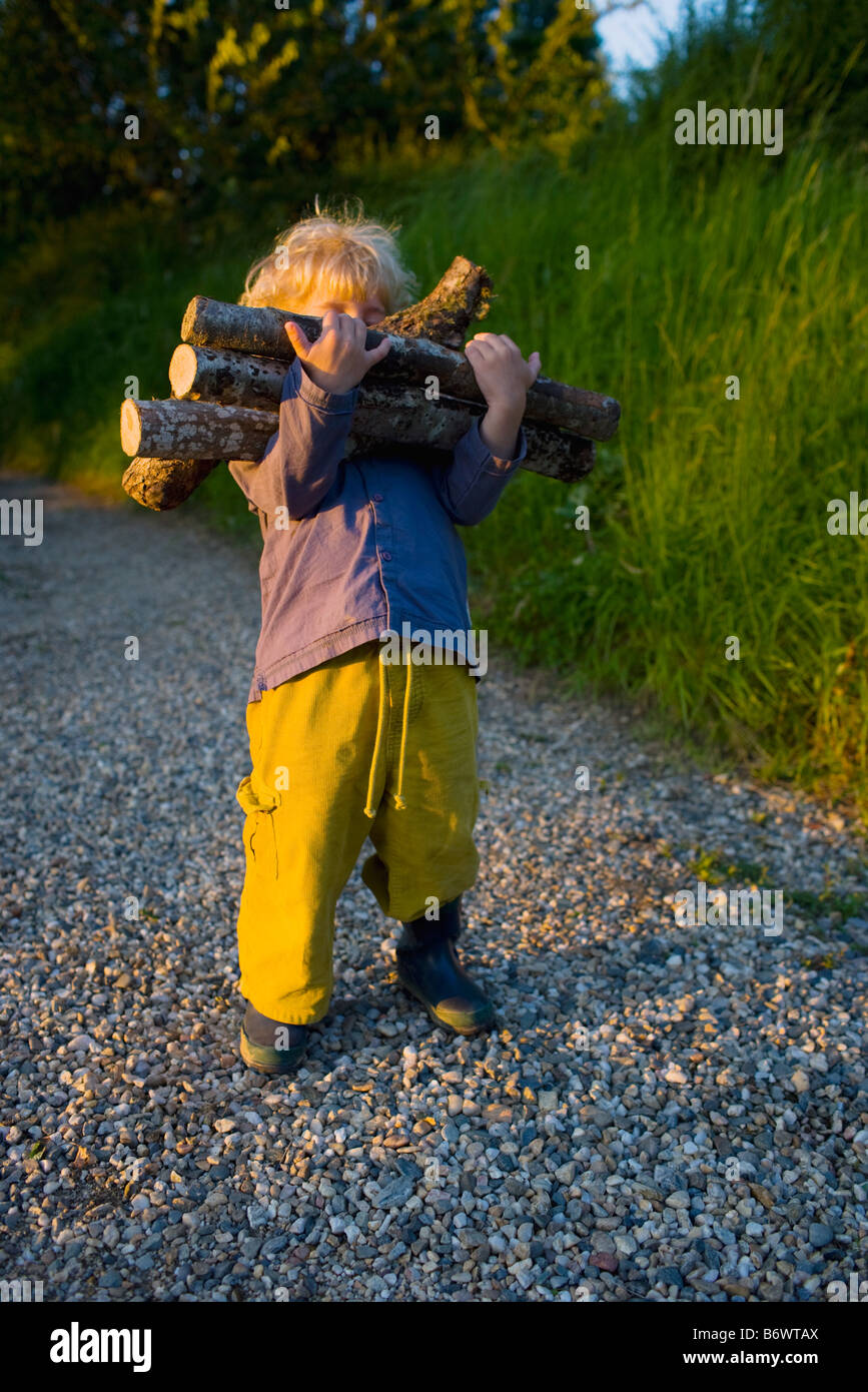 A boy carrying logs Stock Photo - Alamy