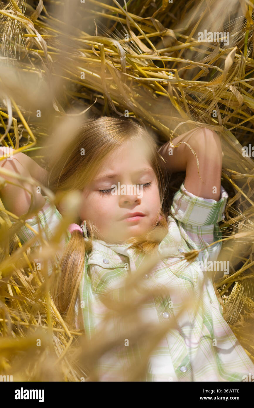 Girl sleeping in a corn field Stock Photo - Alamy