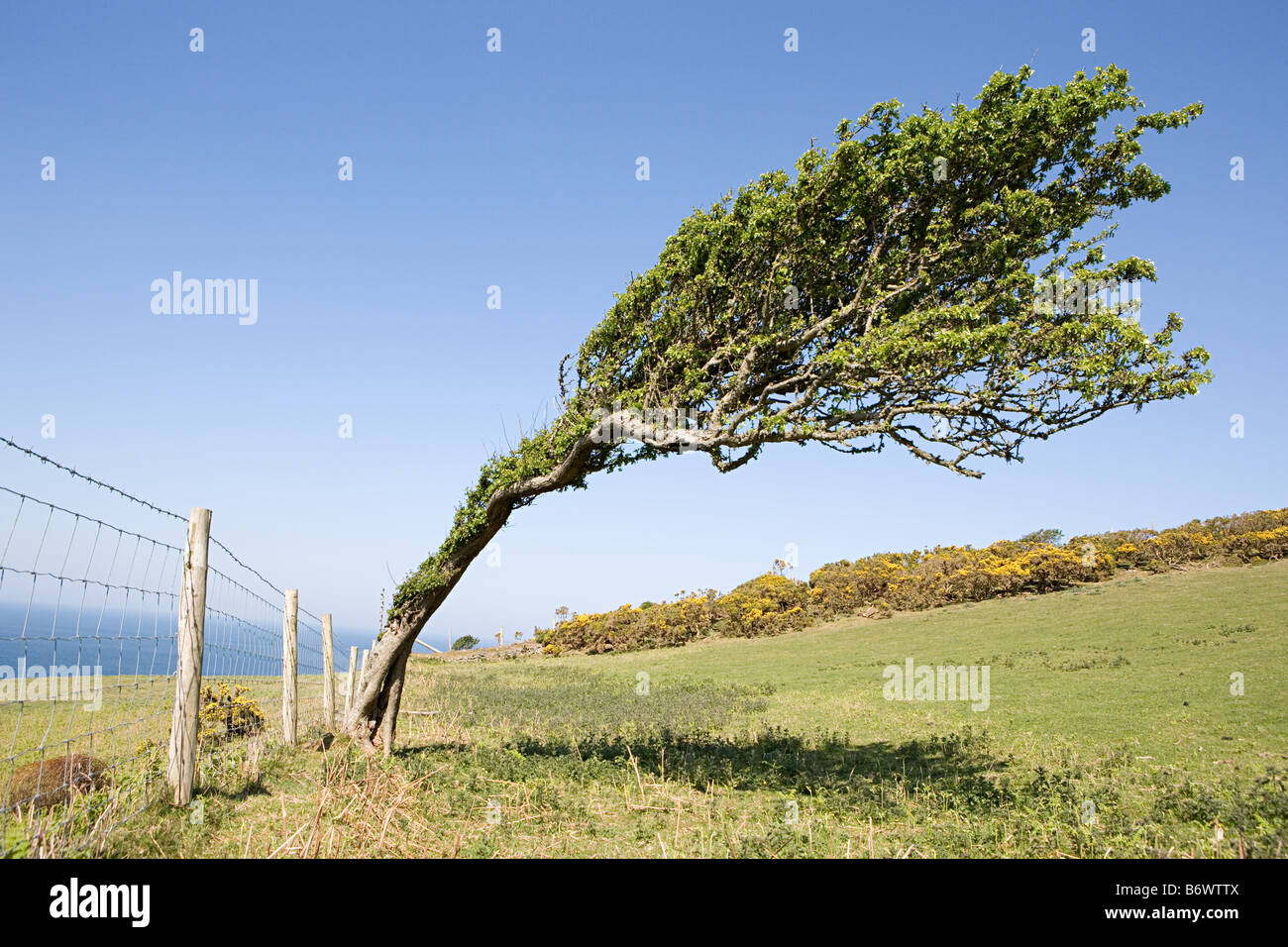 Leaning Into The Wind High Resolution Stock Photography and Images - Alamy
