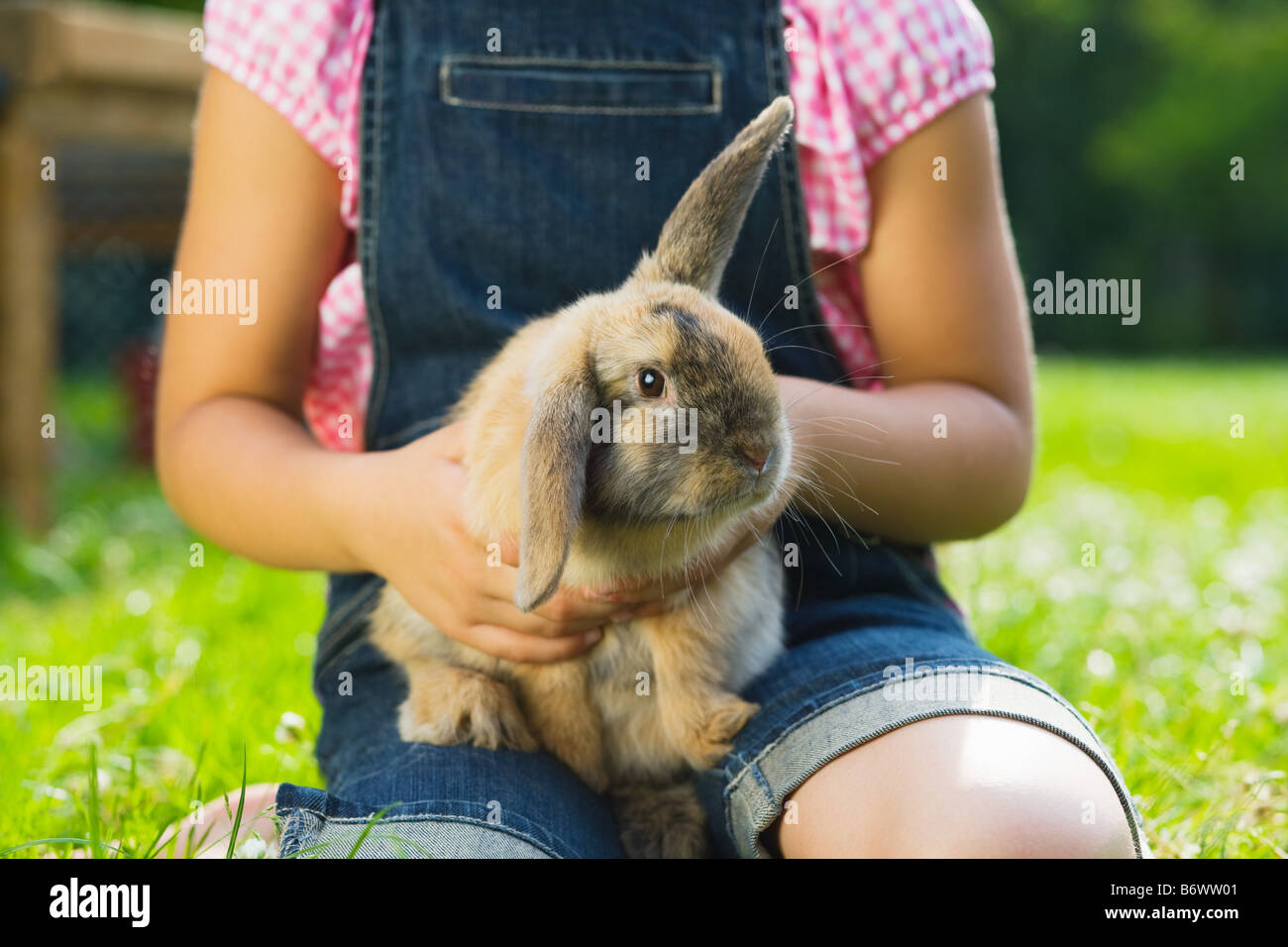 Girl holding a rabbit hi-res stock photography and images - Alamy