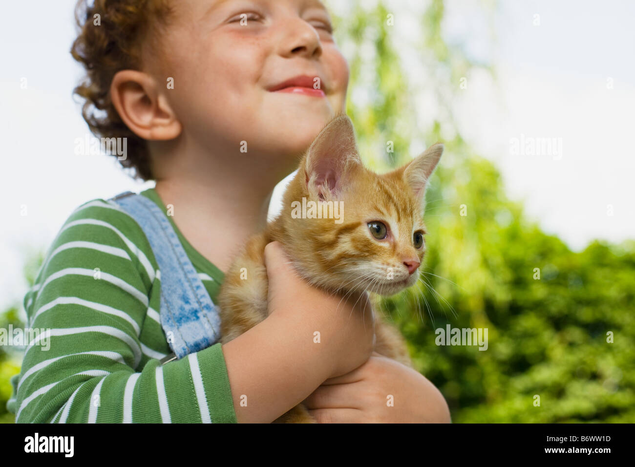A boy holding a kitten Stock Photo - Alamy