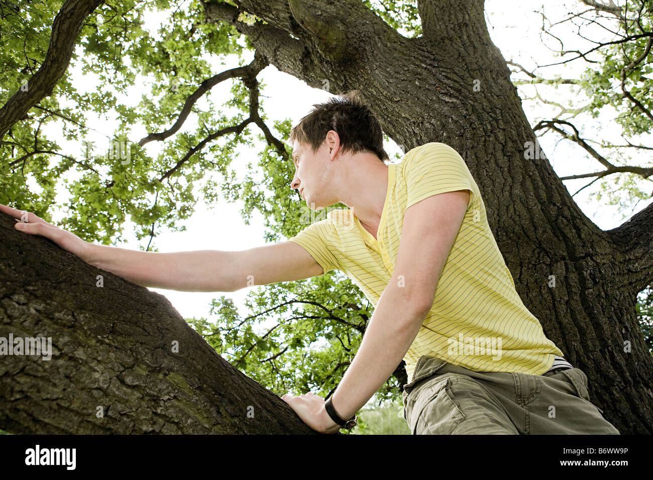 Young man in a tree Stock Photo - Alamy