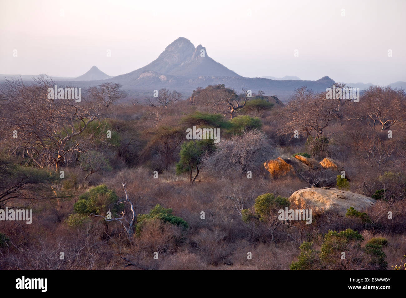 Tribe Gathering Traditional Ceremony High Resolution Stock Photography ...