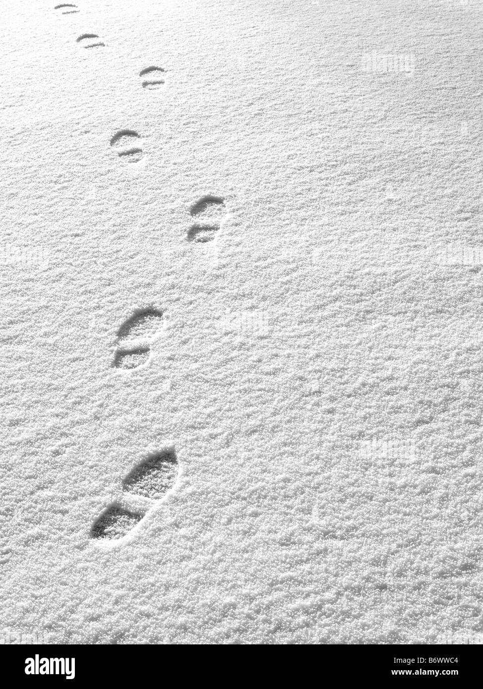 Footsteps in snow Black and White Stock Photos & Images - Alamy