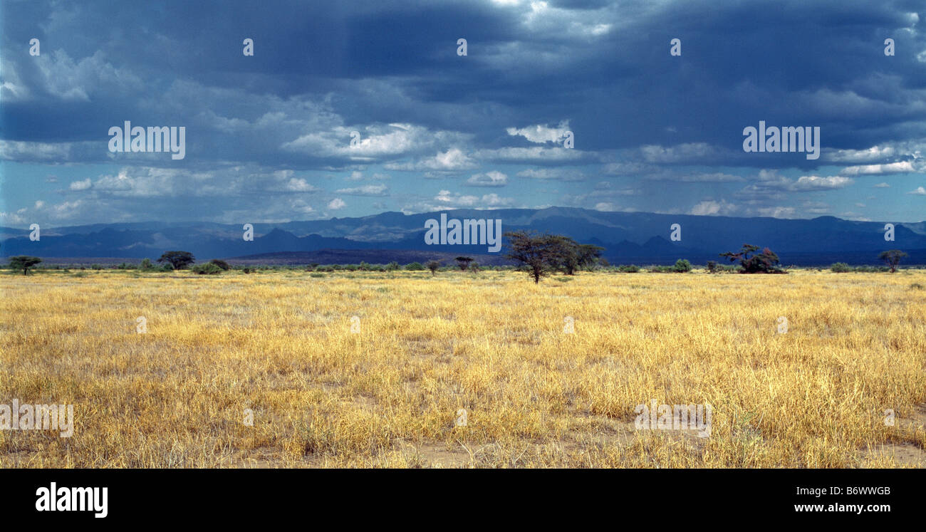 Kappedo hi-res stock photography and images - Alamy