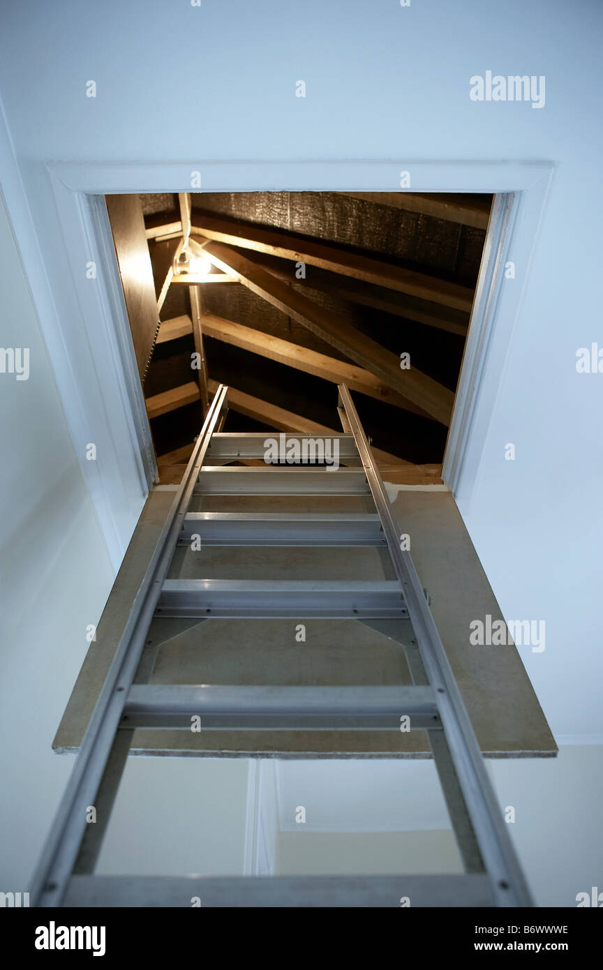 Ladder leading up loft hi-res stock photography and images - Alamy