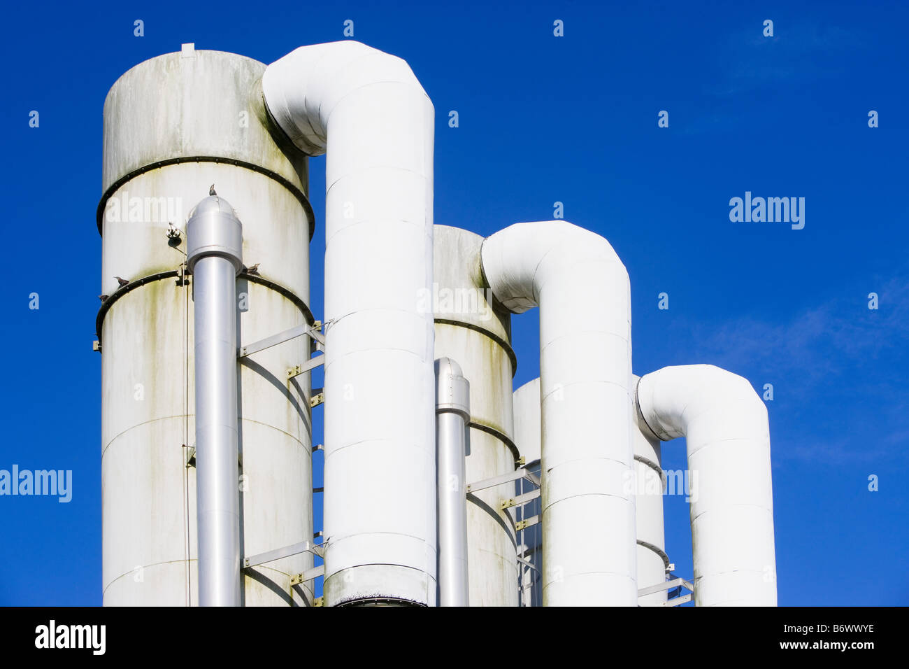 White piping hi-res stock photography and images - Alamy
