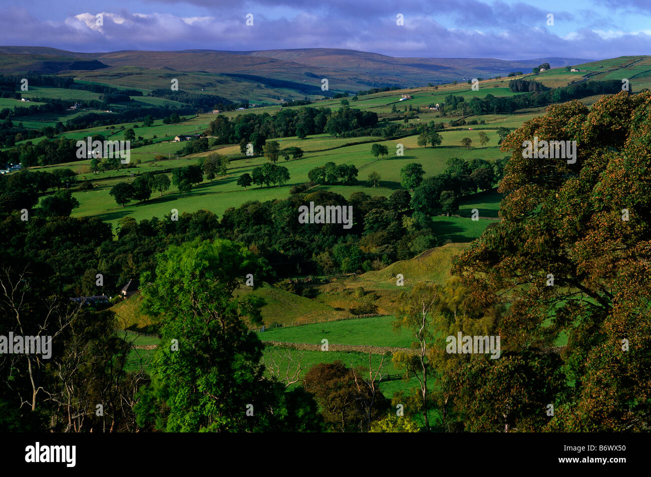 The durham dales hi-res stock photography and images - Alamy