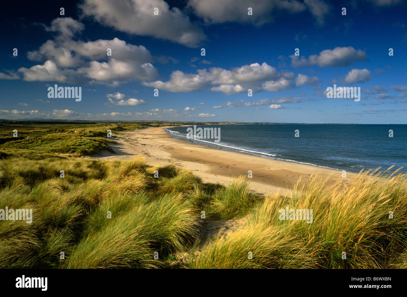 Cresswell High Resolution Stock Photography and Images - Alamy