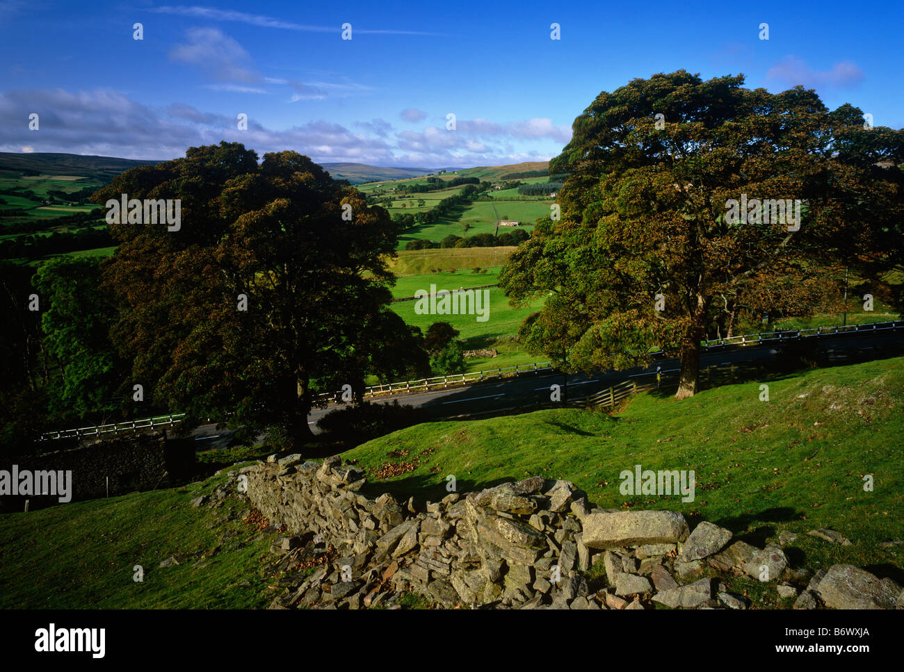 Rural view of Weardale in Autumn near Stanhope, County Durham Stock ...