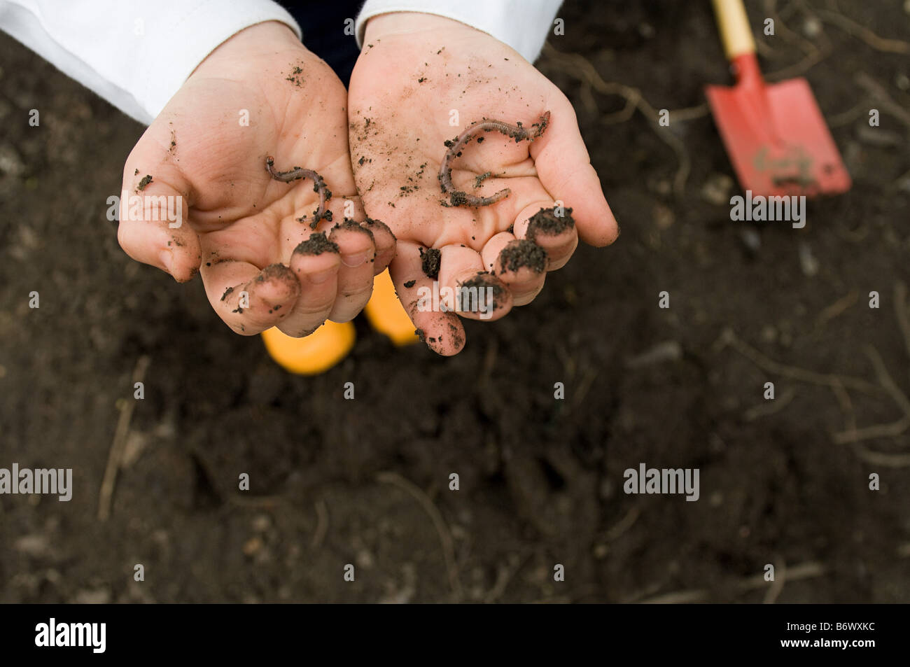 Child with worms in hands Stock Photo - Alamy