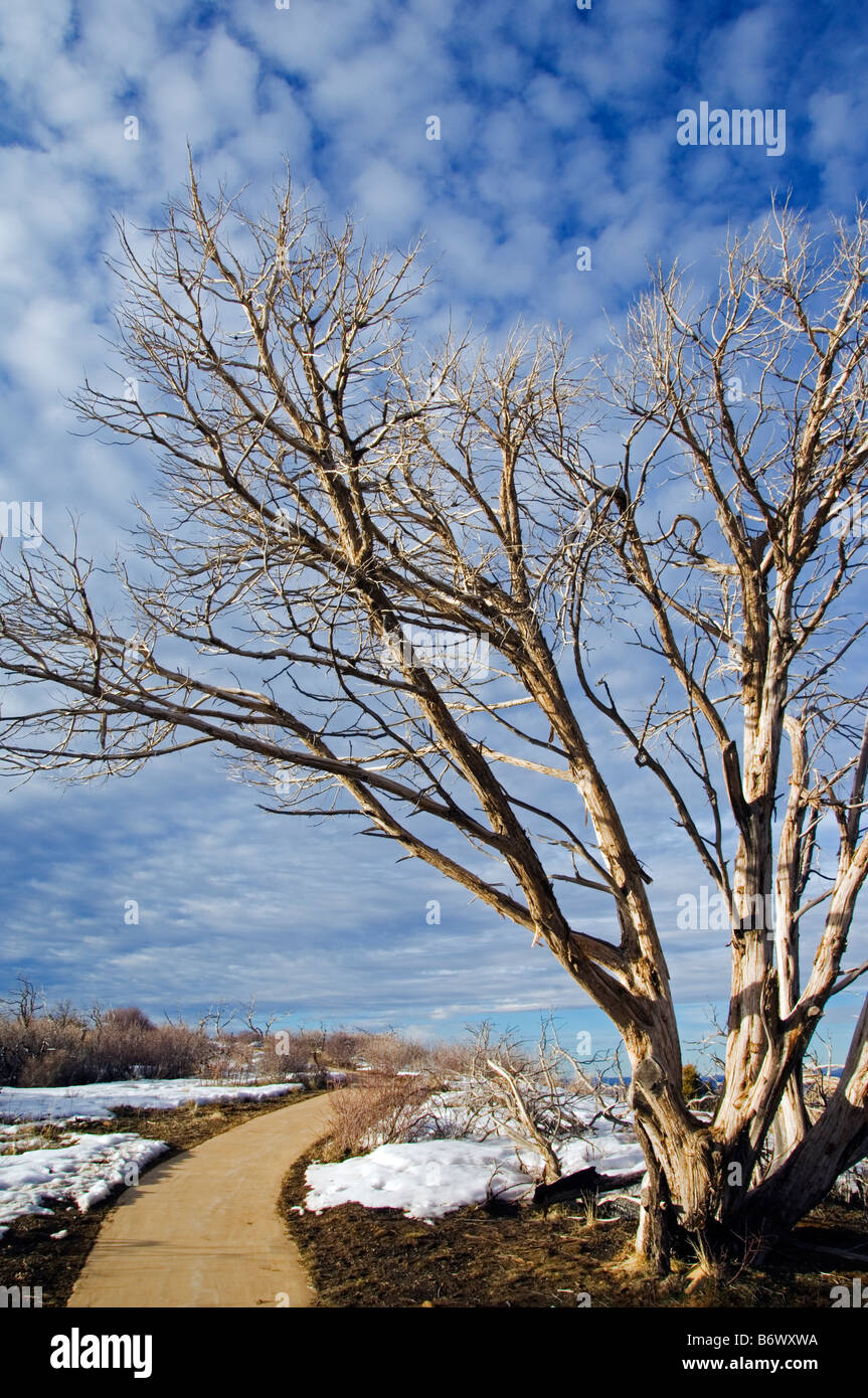 USA, Colorado, Mesa Verde National Park, Montezuma Valley Outlook Stock ...