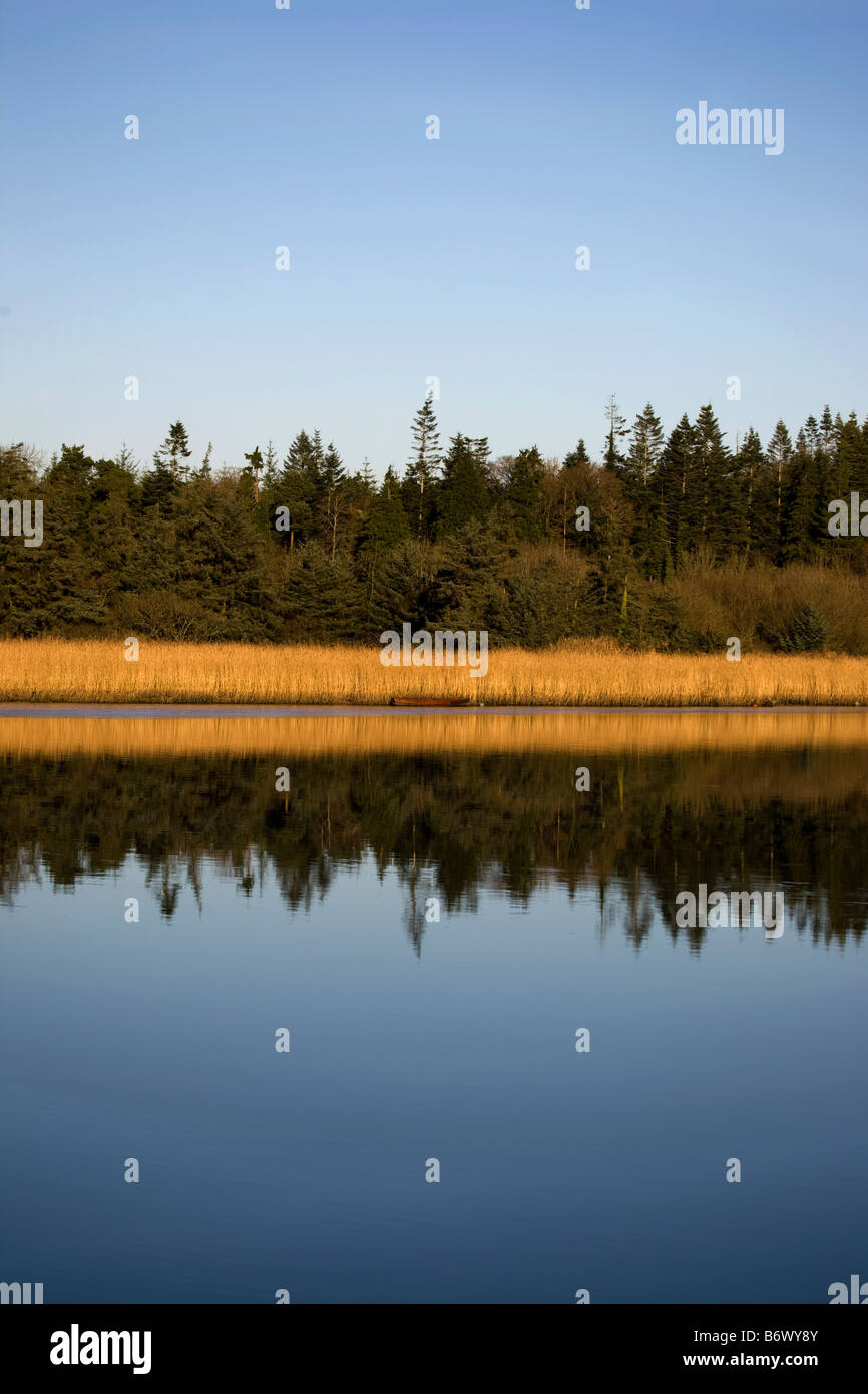 The River Slaney Wexford seen from Crossabeg above Killurn Bridge Stock ...