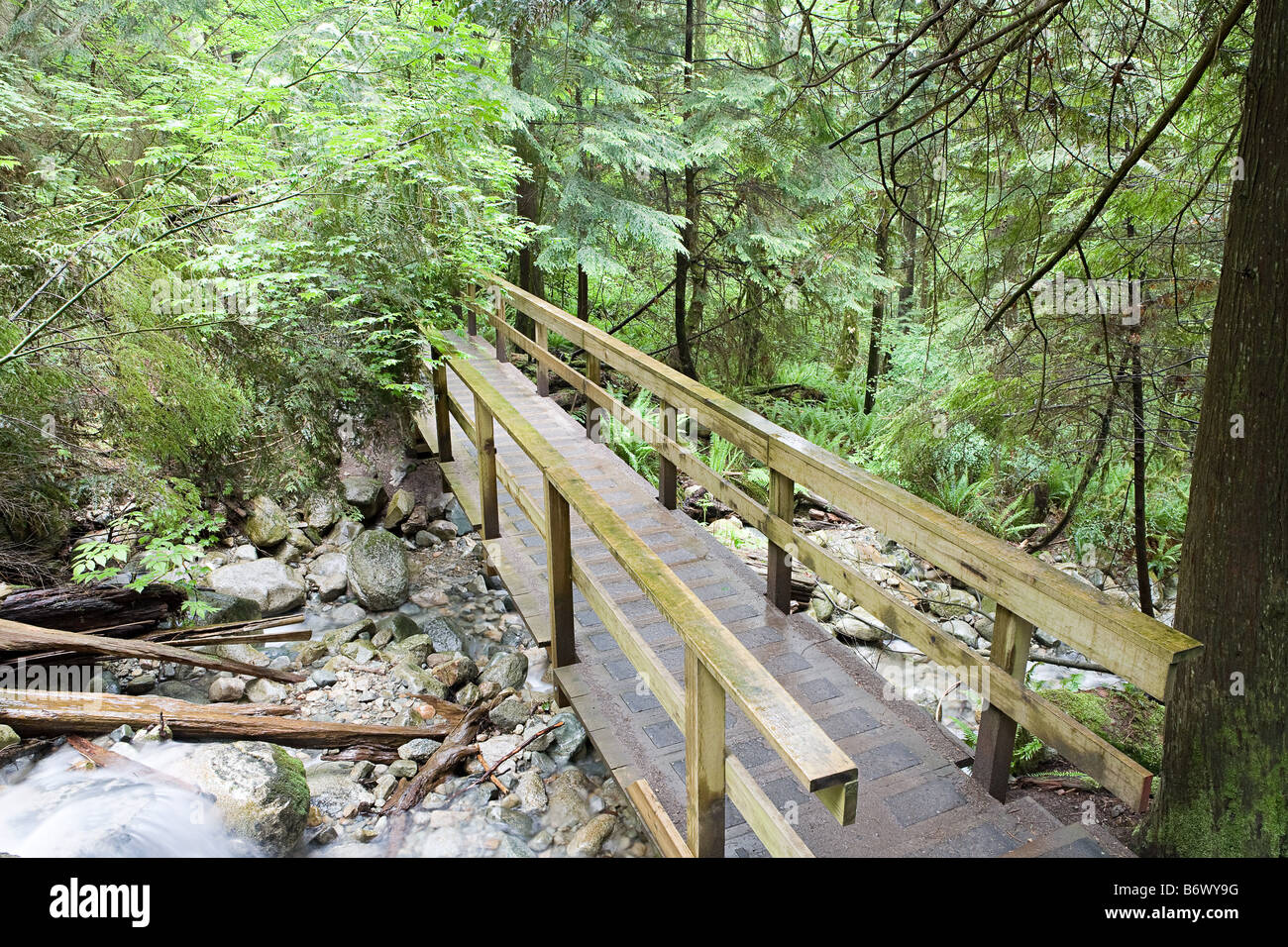 Bridge in forest Stock Photo - Alamy