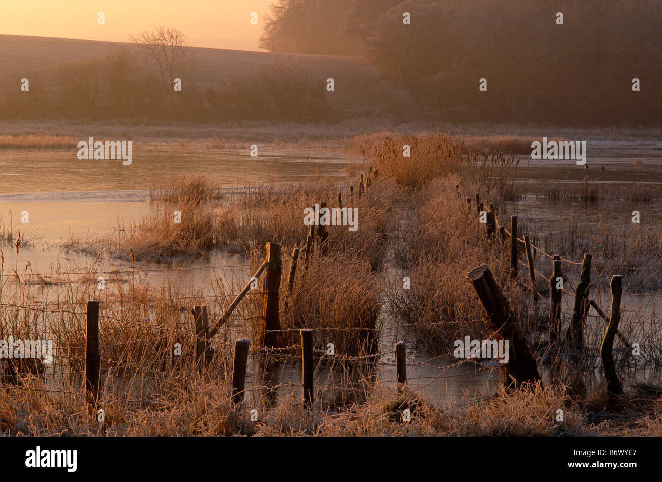 Frozen saltmarsh, Yarmouth, Isle of Wight Stock Photo - Alamy