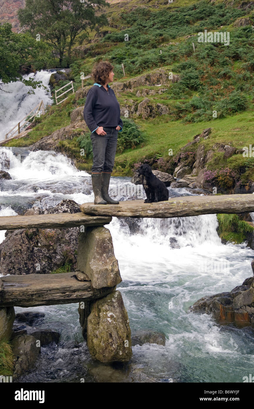 Wales, Conwy, Snowdonia. Woman and dog on a rustic bridge over the Afon ...