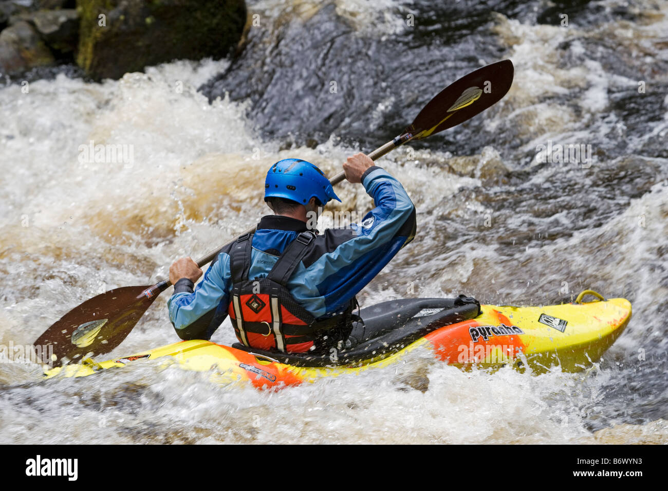 White bala hi-res stock photography and images - Alamy