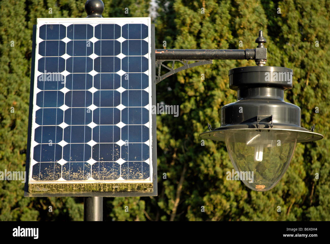 solar panel attached to a single lamp against a background of foliage ...
