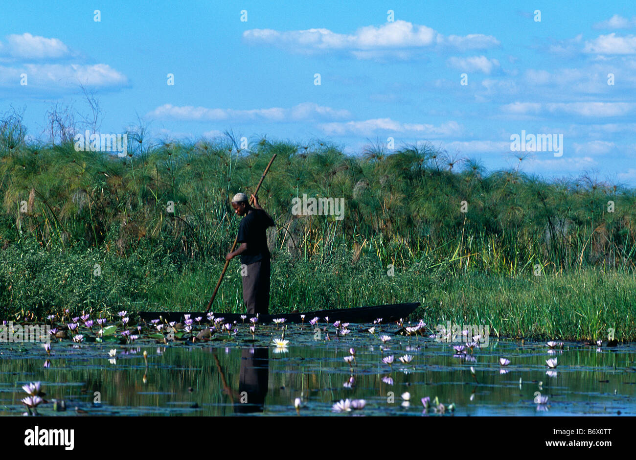 Zambia, Bangweulu Swamp. Fisherman poling mokorro on Lukulu River Stock ...