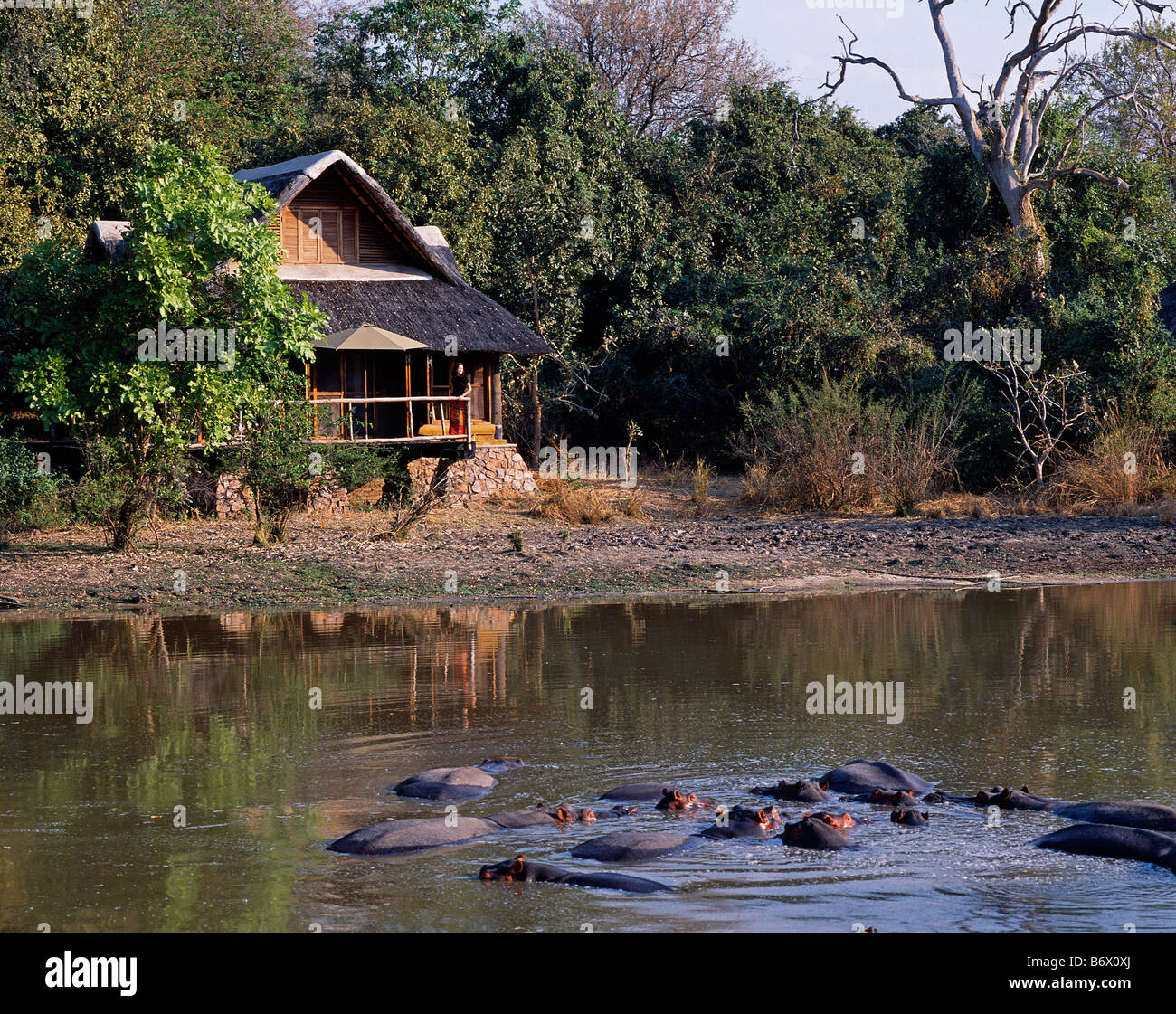 Mfuwe national park hi-res stock photography and images - Alamy