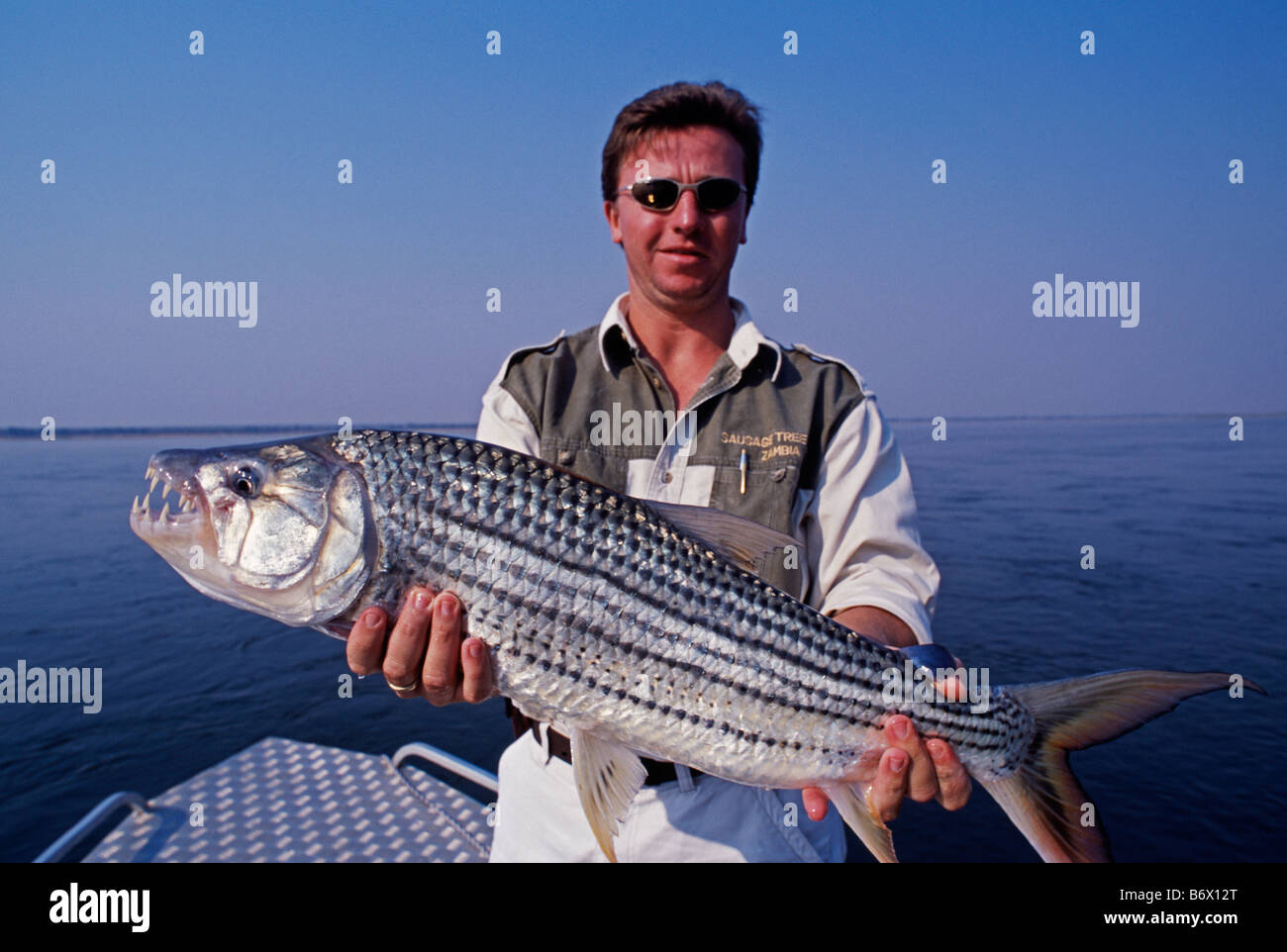 Zambia, Lower Zambezi National Park. A fine tiger fish caught on the ...