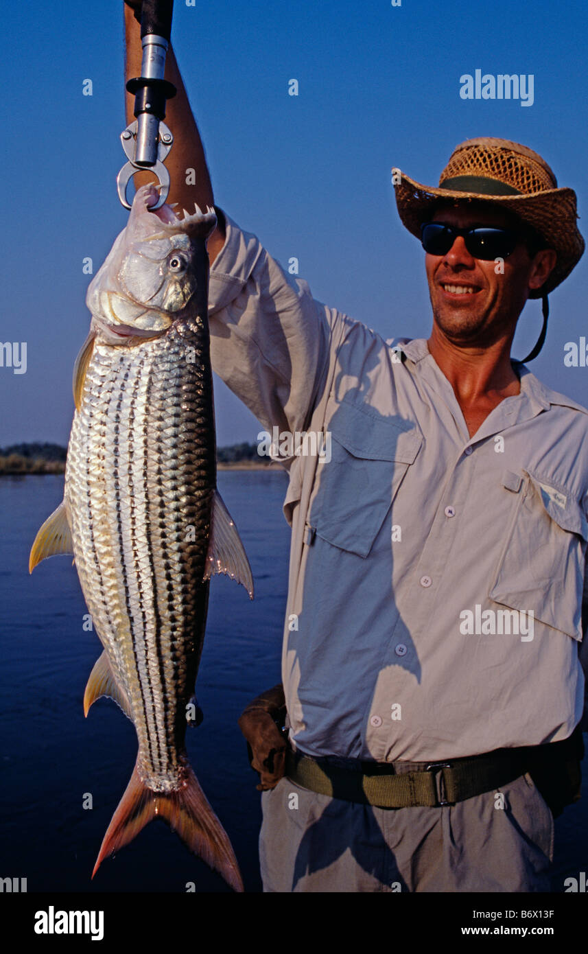 Zambia, Lower Zambezi National Park. A fine tiger fish caught on the ...