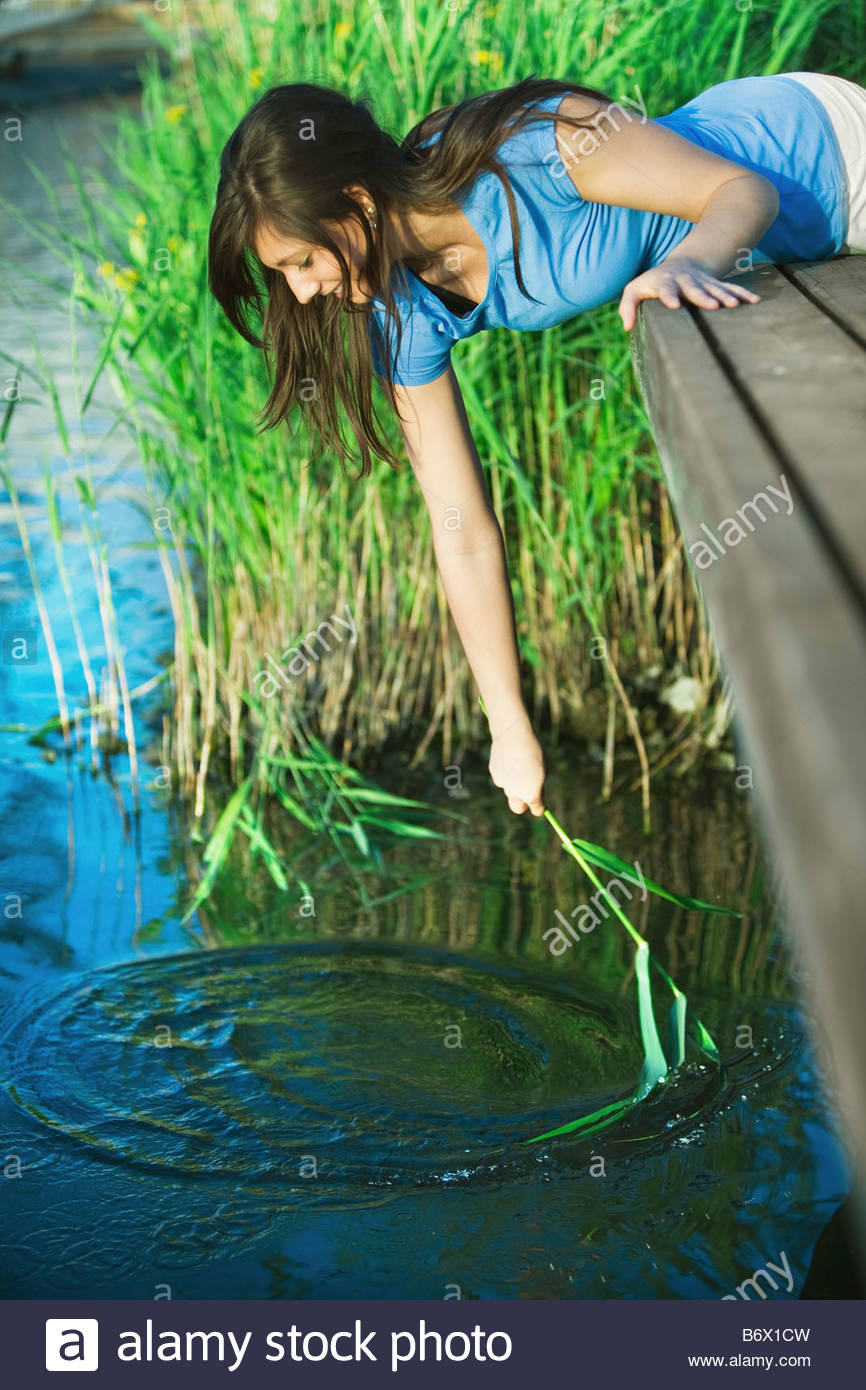 Reed In Water High Resolution Stock Photography and Images - Alamy