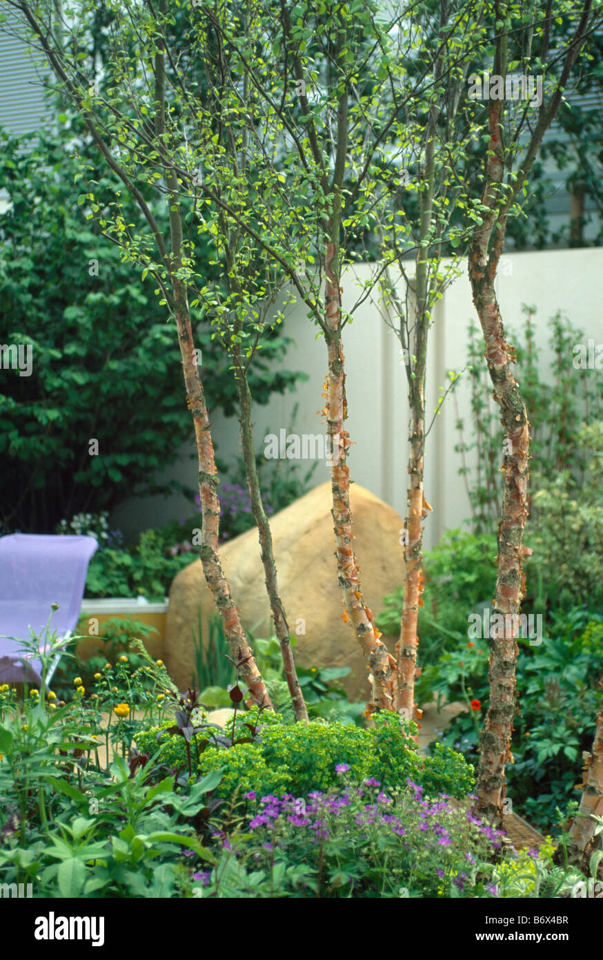 Underplanting tree hi-res stock photography and images - Alamy