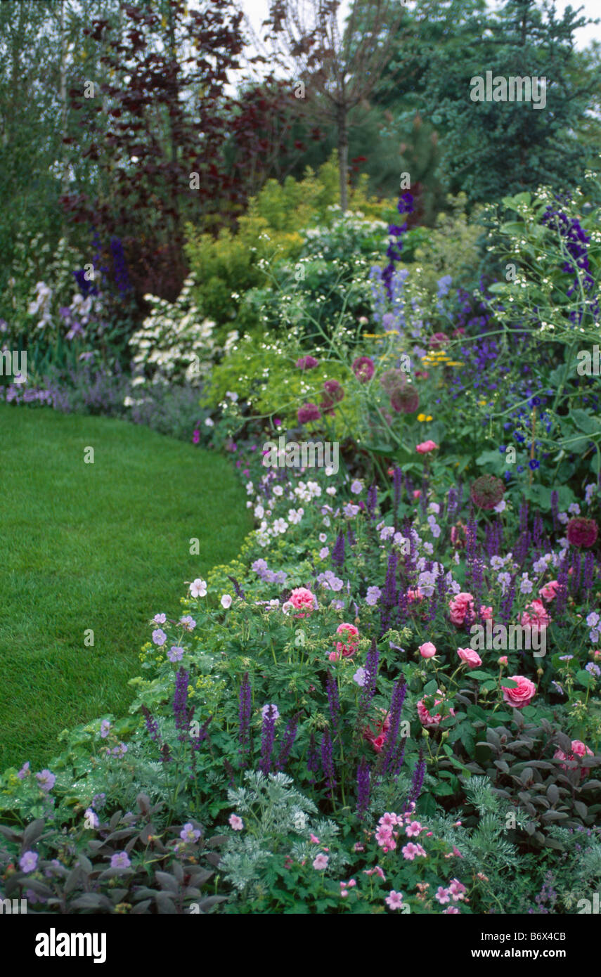Pink roses and blue Veronica in summer garden border Stock Photo - Alamy