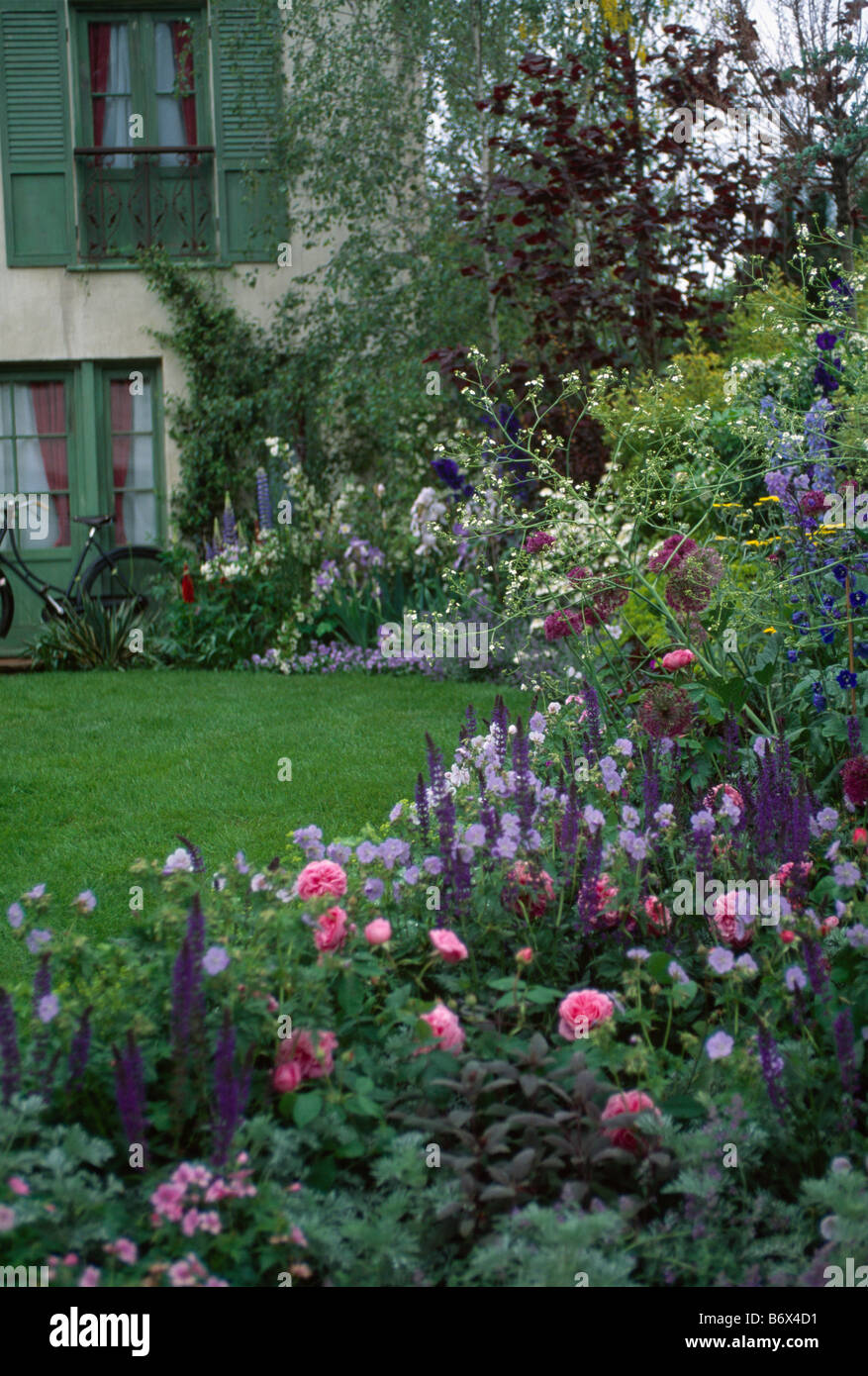 Pink roses with blue geraniums and veronica in summer garden border ...