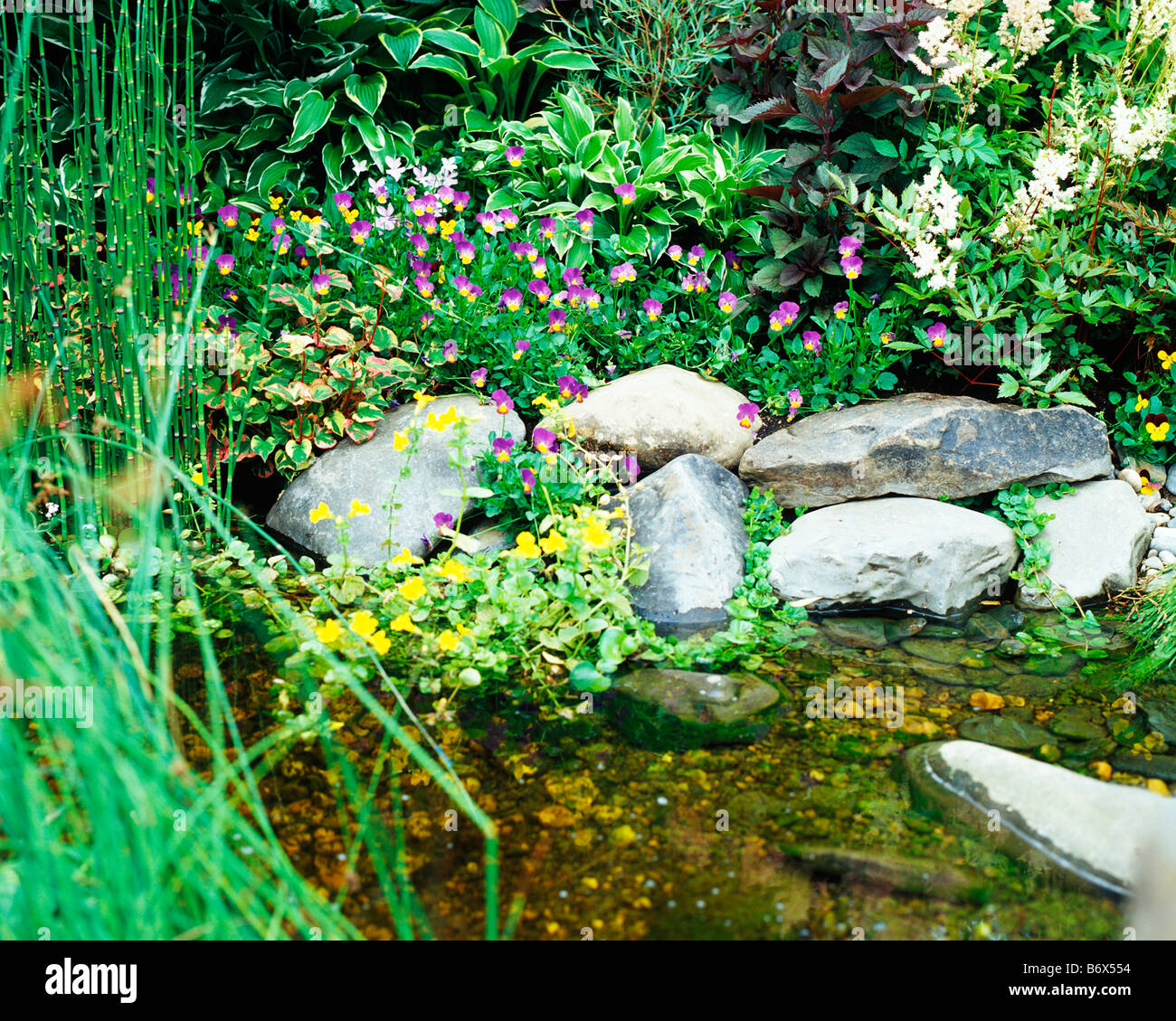 Edging plants hi-res stock photography and images - Alamy
