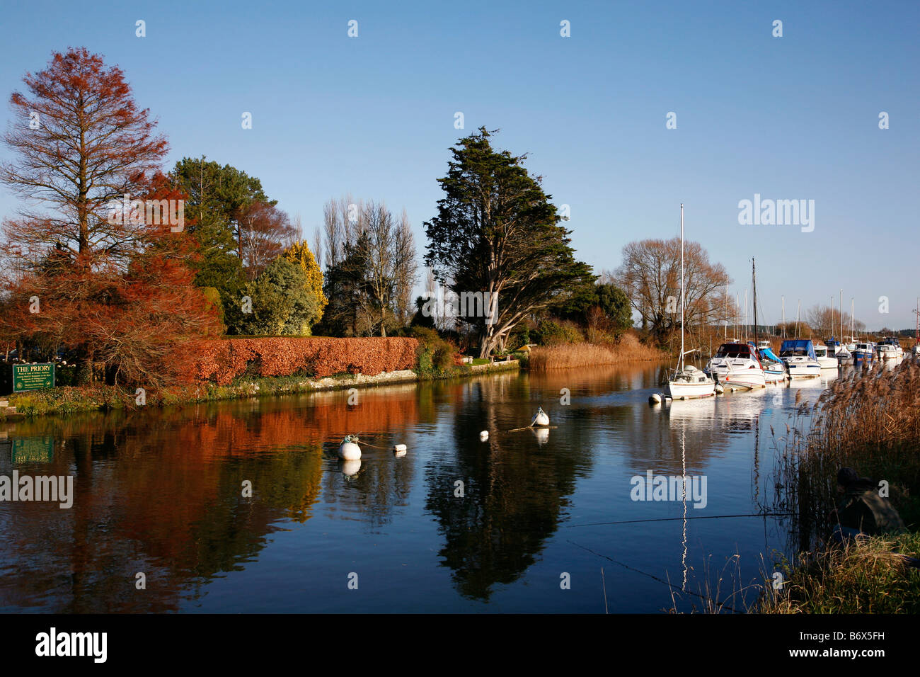 Near wareham hi-res stock photography and images - Alamy